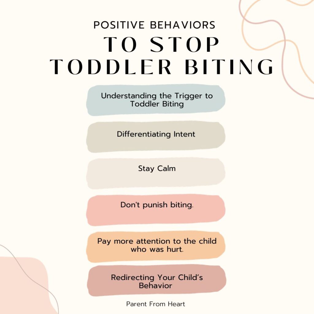 Toddler Biting? This Positive Approach Can Stop it For Good