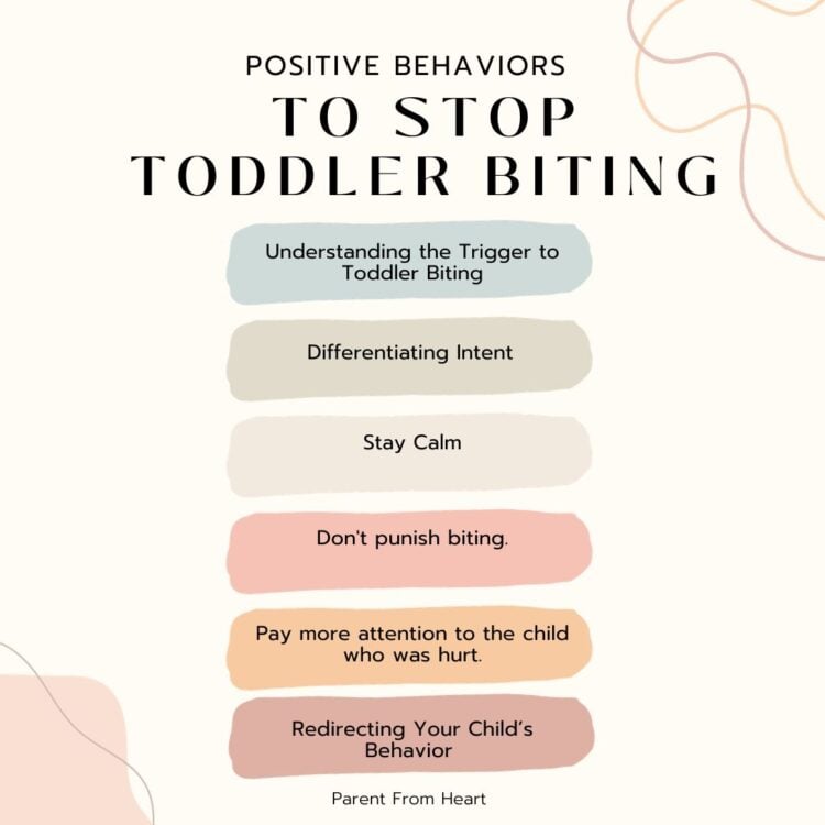 Toddler Biting? This Positive Approach Can Stop it For Good
